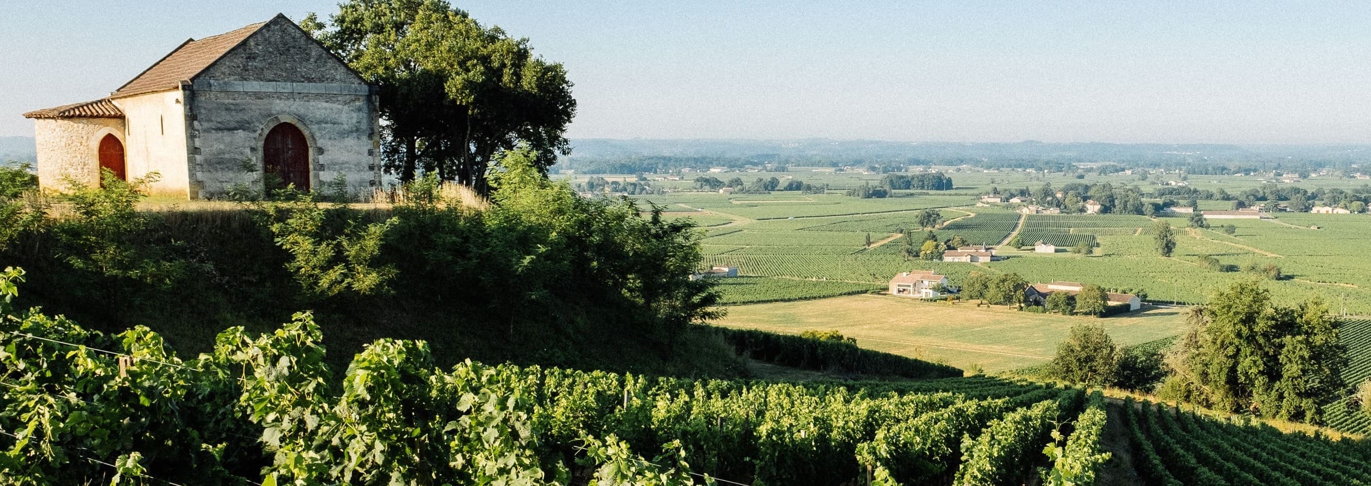 Tout savoir sur l'appellation Saint-Émilion | Cuvée Privée