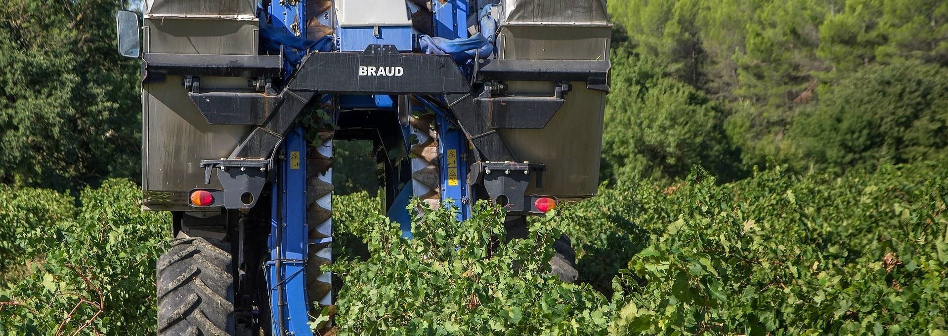 Tout savoir sur la machine à vendanger | Cuvée Privée